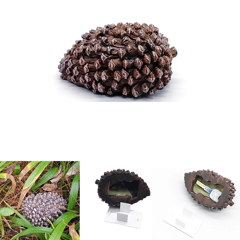 Outdoor Fake Pine Cone Key Safe Box - Hidden Garden/Home/RV Key Storage ...