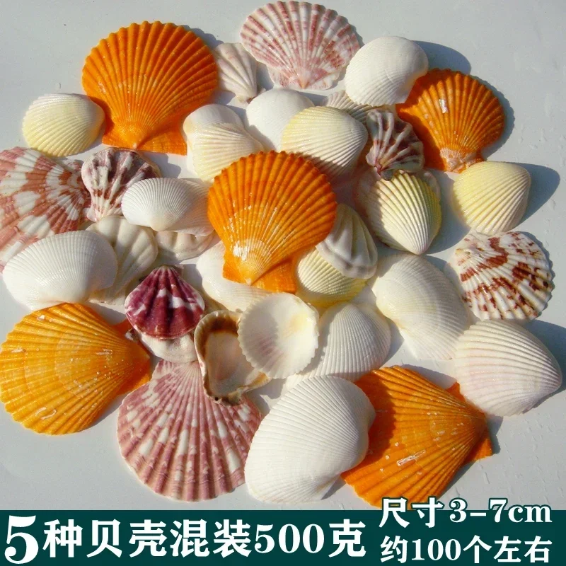 S730bfcb689b94cc5993ac2560cafbc05O.jpg