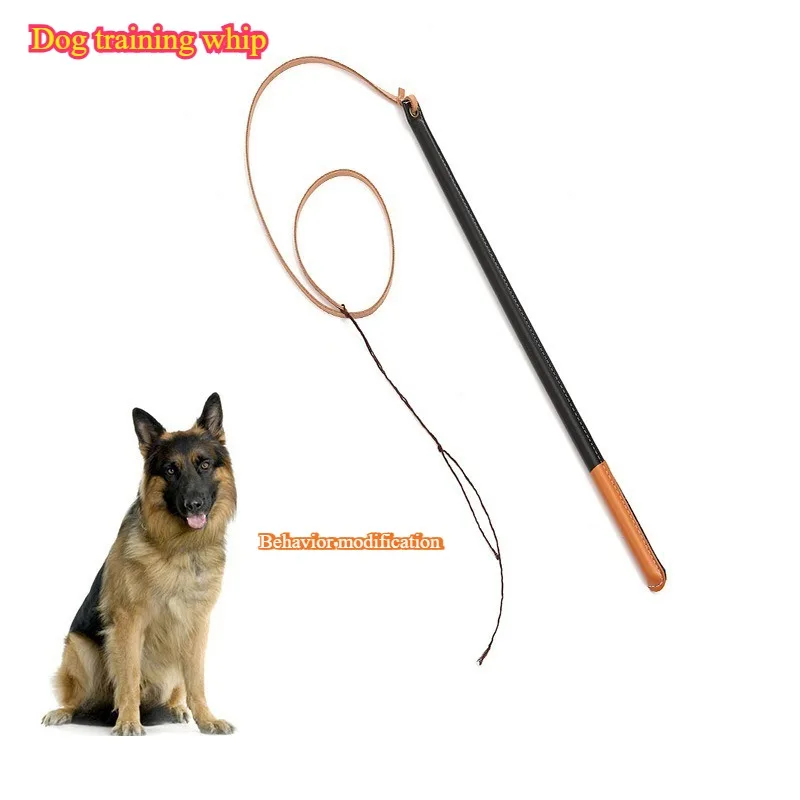 Dog Training Stick Whip Portable and Durable Pet Behavior Correction ...