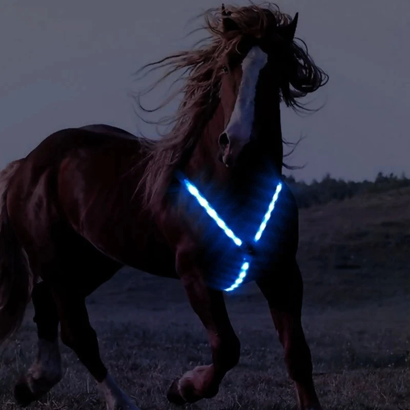 Horse-LED-Collar-Adjutable-Led-Breastcollar-Horse-Light-Harness-Horse ...