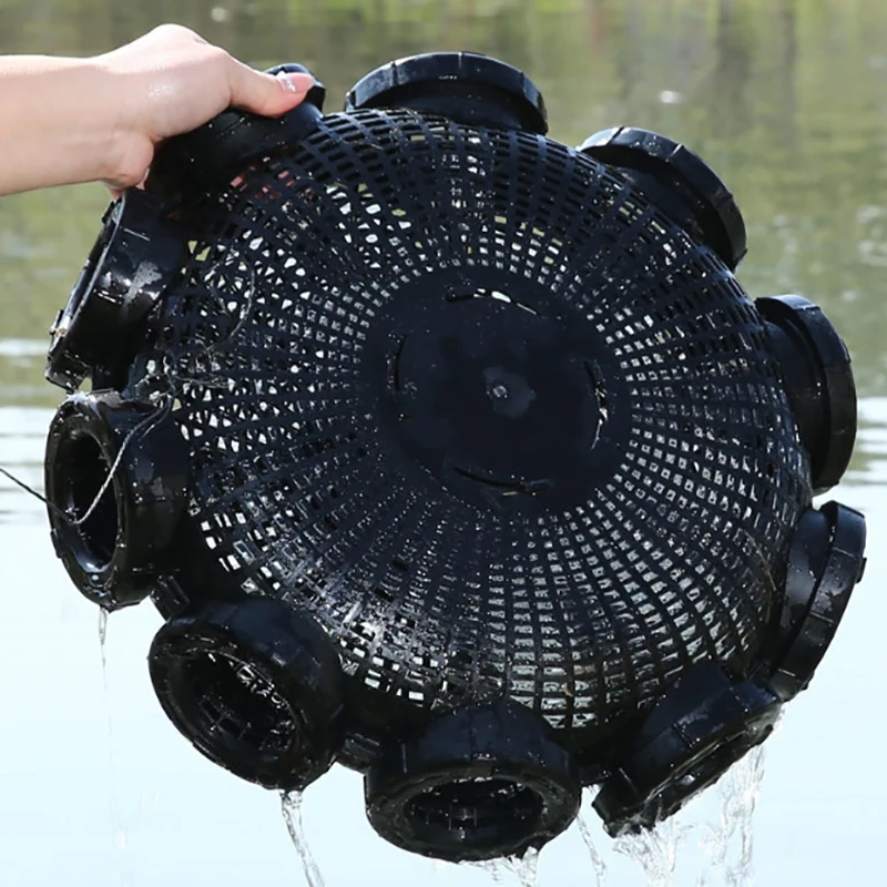 10-Holes-Catch-Loach-Lobster-Yellow-Eel-Cage-Mixed-Fish-Crayfish ...