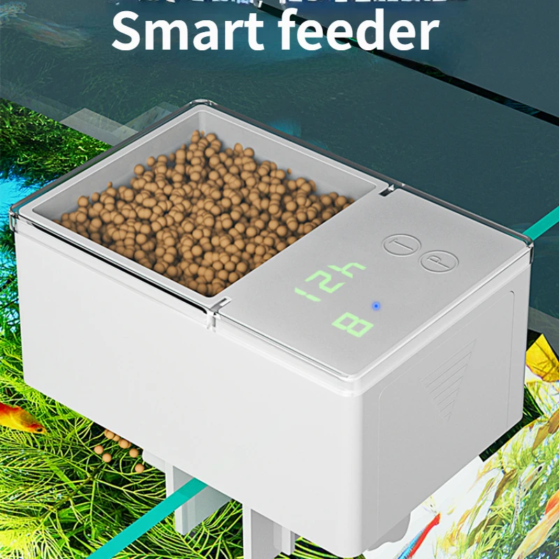 Automatic-timed-feeder-intelligent-fish-feeder-for-small-household ...