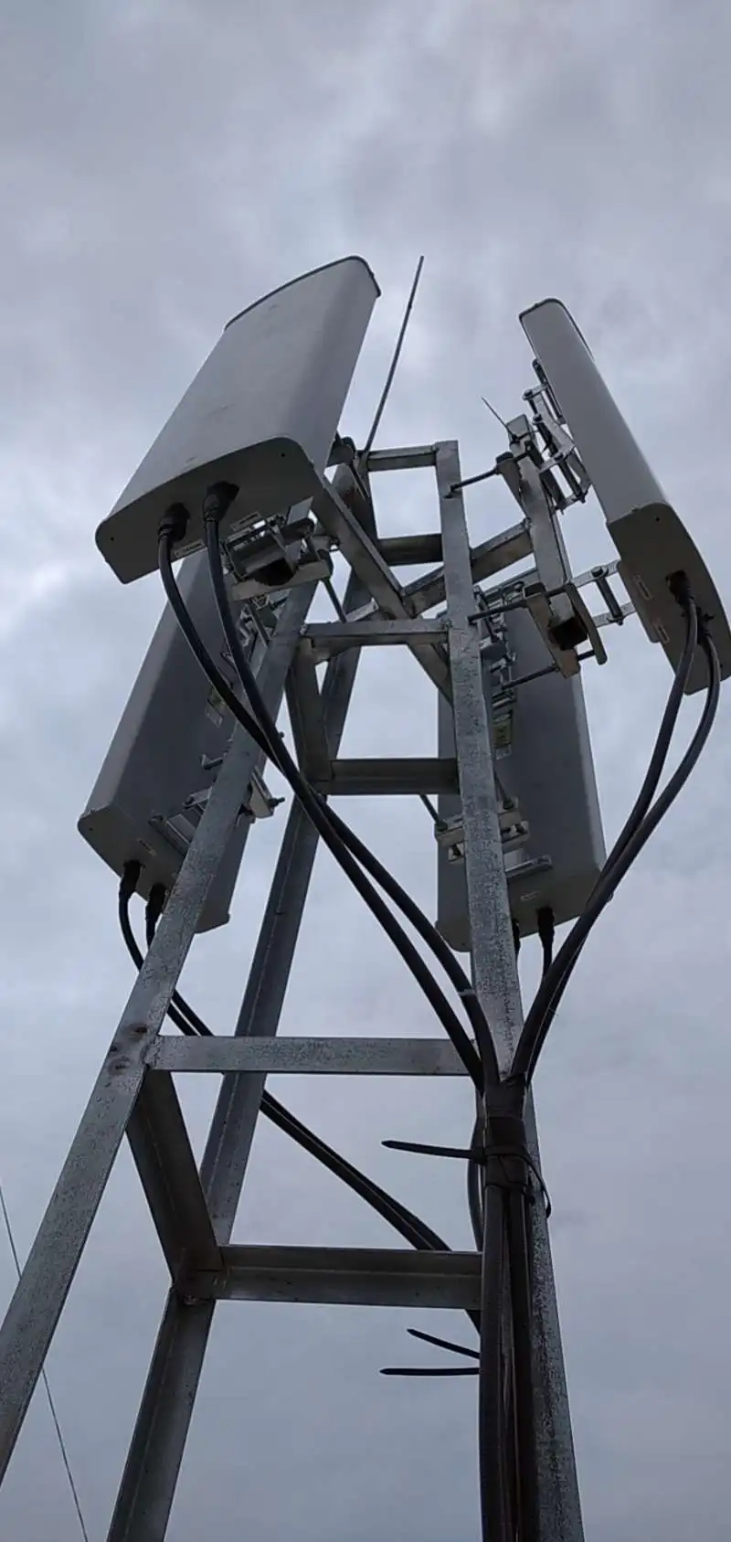 6 Ports MIMO 4G 915 Mhz 65CM Sector Antenna – SmeshMega.com