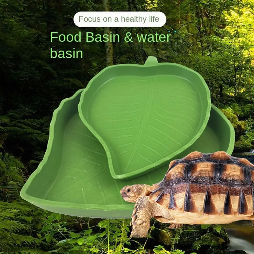 Reptiles-Feeder-Plastic-Reusable-Turtles-Lizard-Tortoise-Live-Worm-Food ...