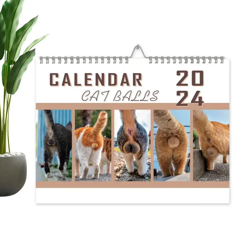 2024-Wall-Calendar-12-Month-Hangable-Cat-Balls-Calendar-January-2024 ...