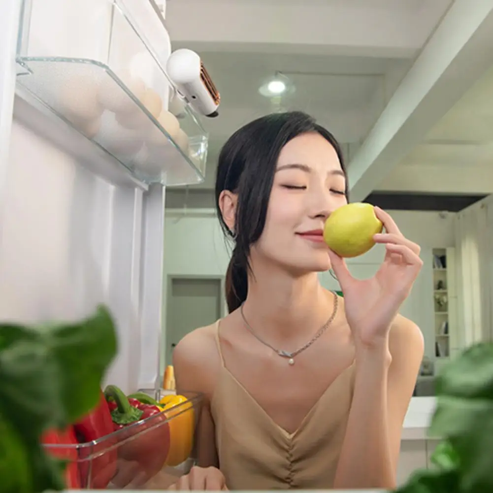 Desodorizador-de-refrigerador-reutilizable-eliminador-de-olores-m-s ...