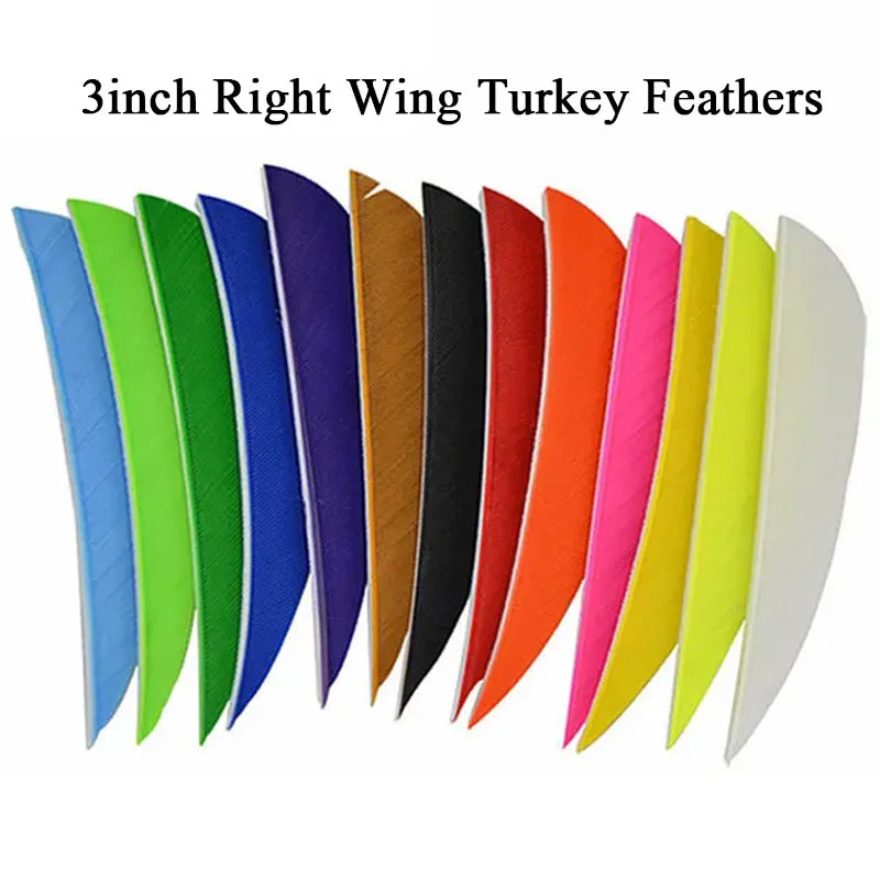 50pcs-Archery-Arrow-Feathers-3-Turkey-Fletches-Right-Wing-Vanes-for ...