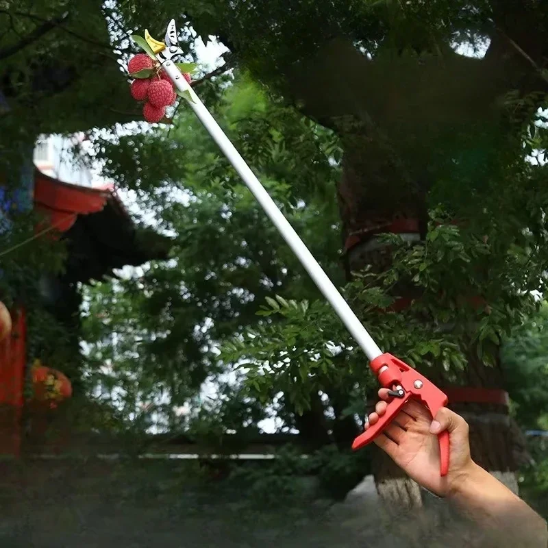 High Branch Fruit Picking Scissors Sharp Telescopic Branch Cutting ...