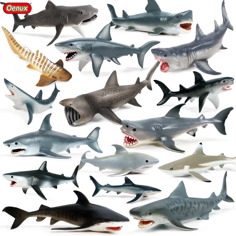 Oenux-Sea-Life-Model-for-Kids-Great-White-Shark-Helic-pteros-Megalodon ...