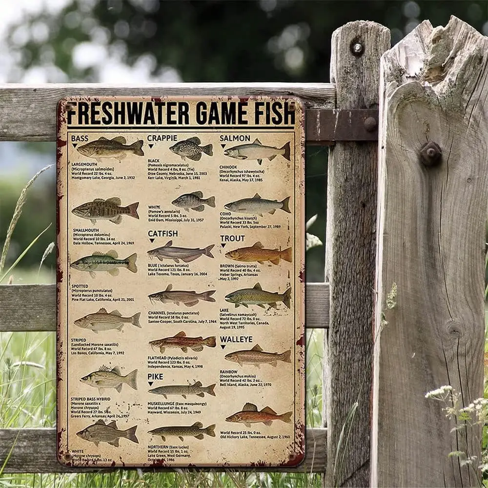 Fishing-Decor-Retro-Tin-Signs-Fish-Decor-Freshwater-Game-Fish-Vintage ...