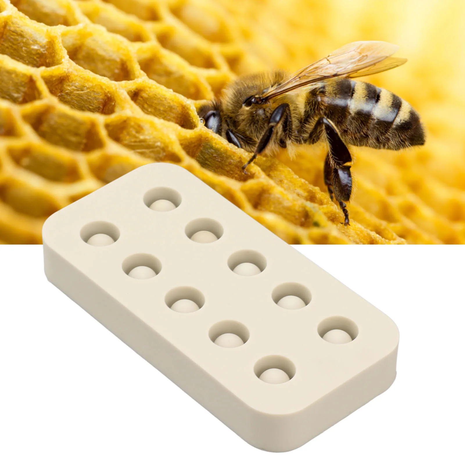 Beekeeping-Tool-Queen-Cell-Cups-Making-Mold-Wax-Queen-Grafting-Cups ...