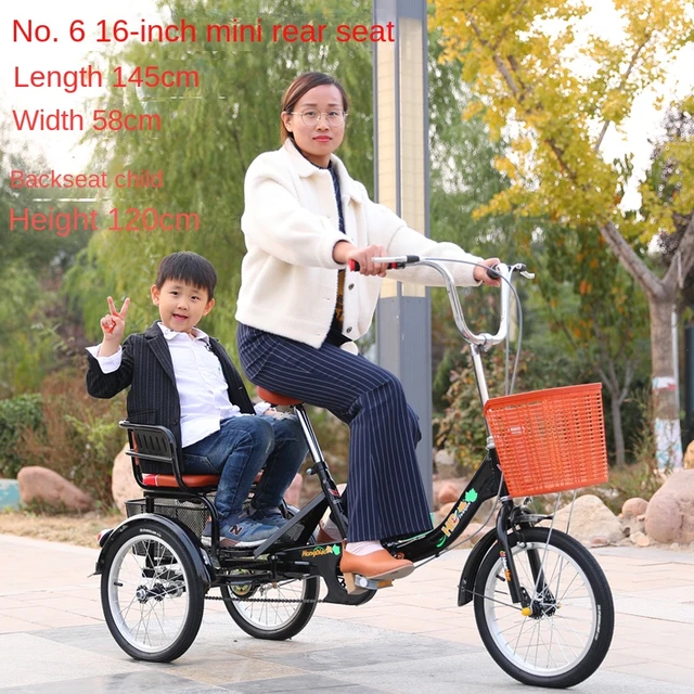 Hand Propelled Tricycle