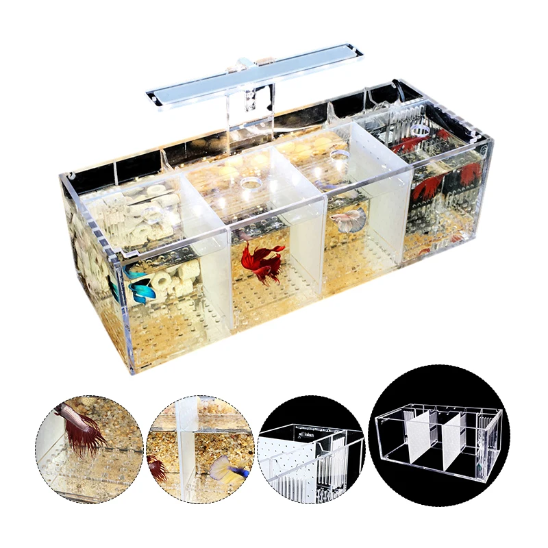 Aquarium-Fish-Breeder-Box-Fish-Isolation-Box-for-Baby-Betta-Fish ...