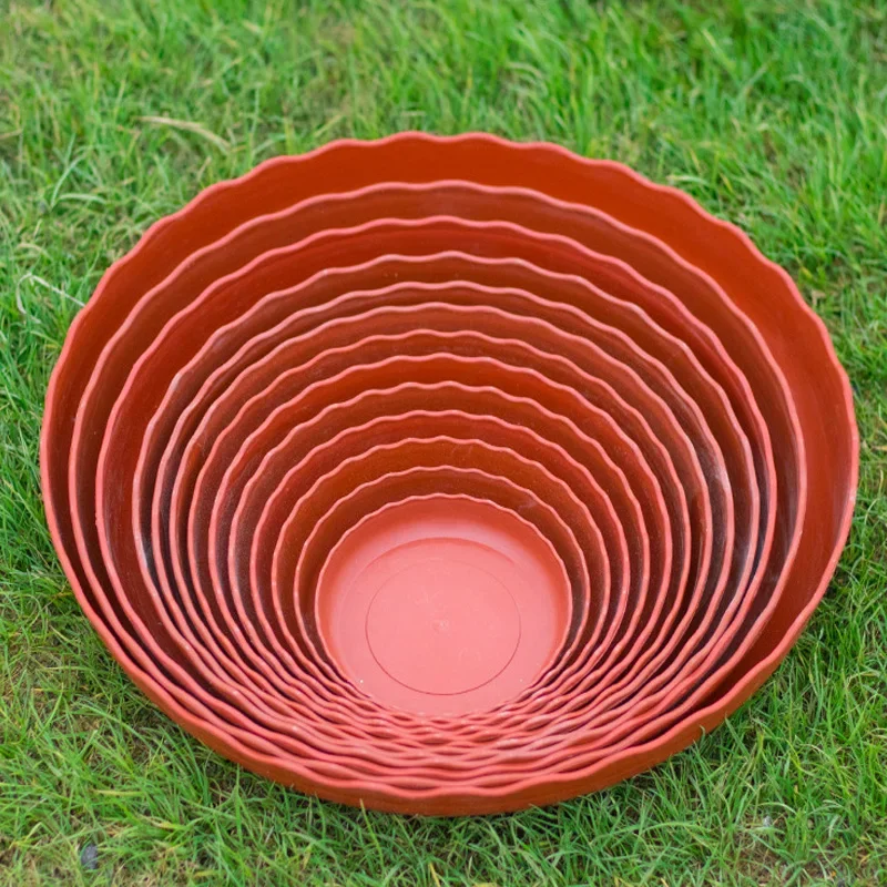 Shop1103483250 Store