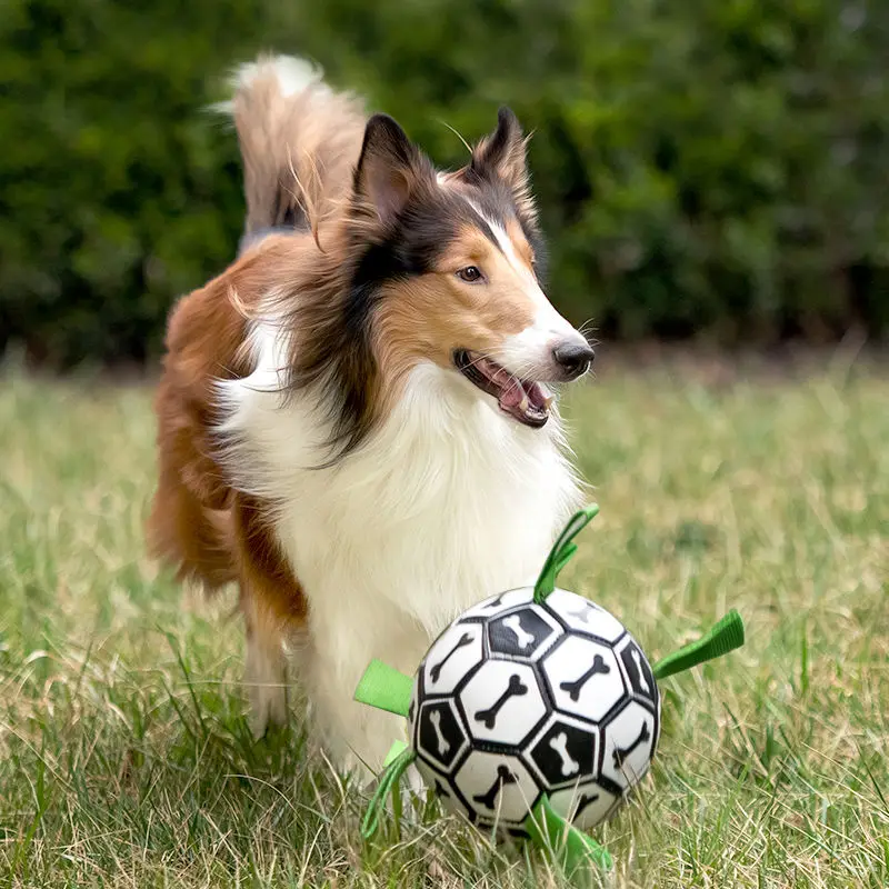 Cute Pet Interactive Ball for Medium and Small Dogs, Throw Bouncy Balls ...