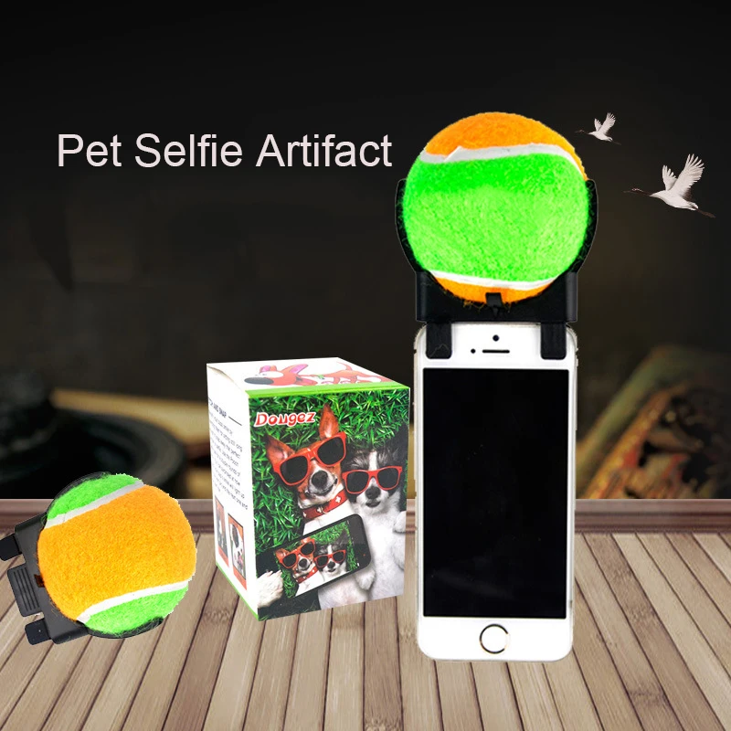 Pet-Selfie-Artifact-Dog-Look-at-the-Camera-Attract-Toys-Taking-Pictures ...
