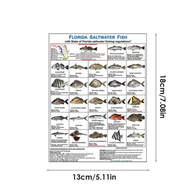 Saltwater Fish Chart