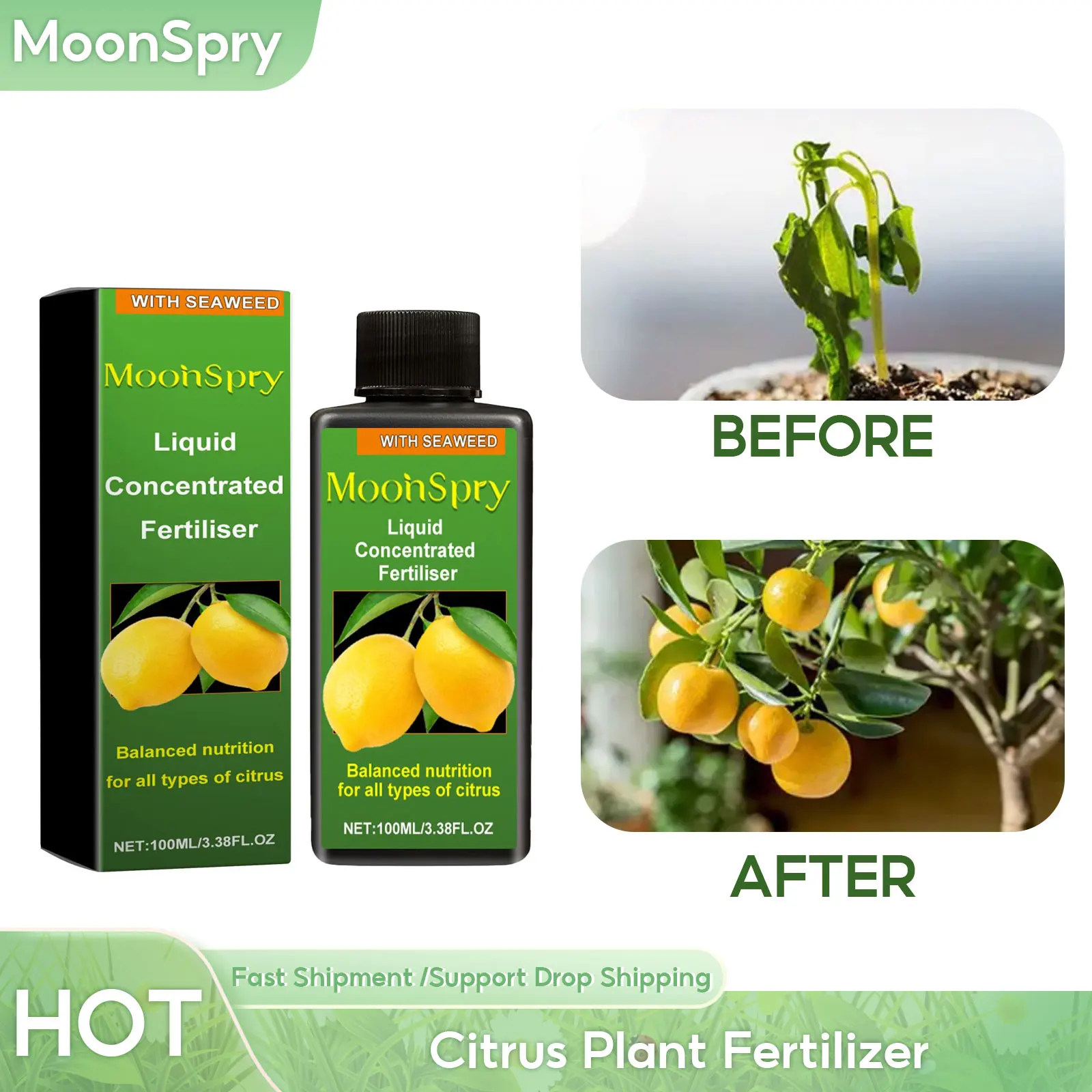 Store Home Products Esports Trends Feedback