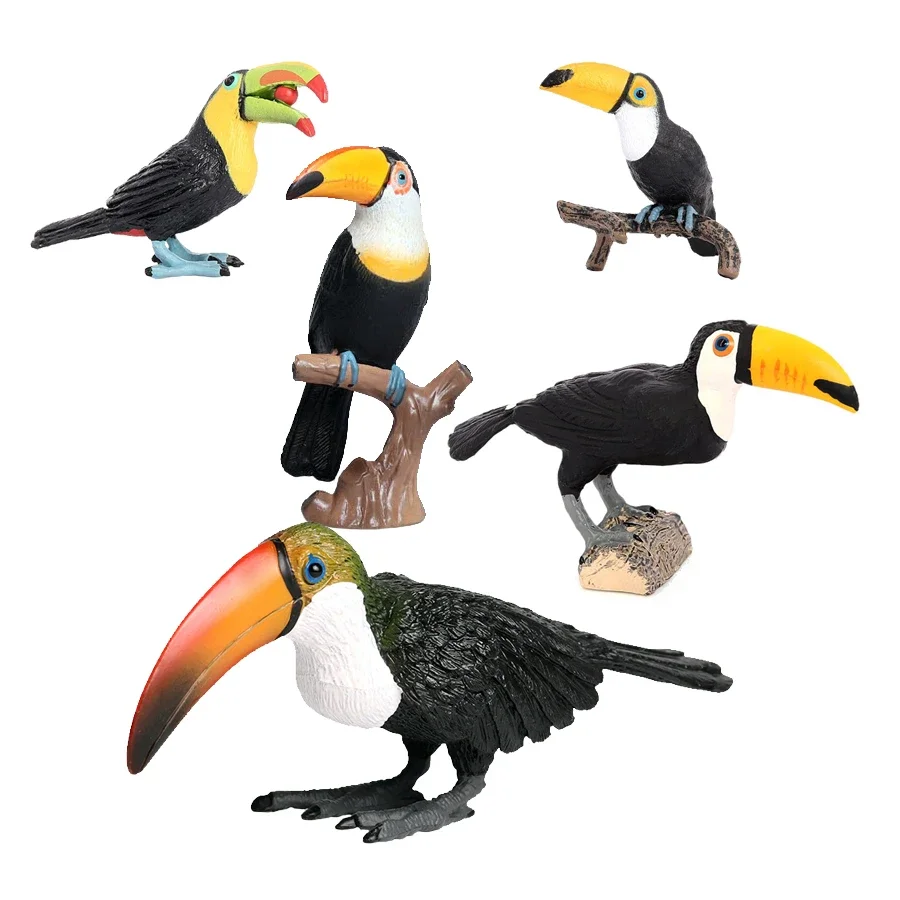 Simulation-Original-Wild-Bird-Animals-Toucan-Figurines-Lifelike-PVC ...