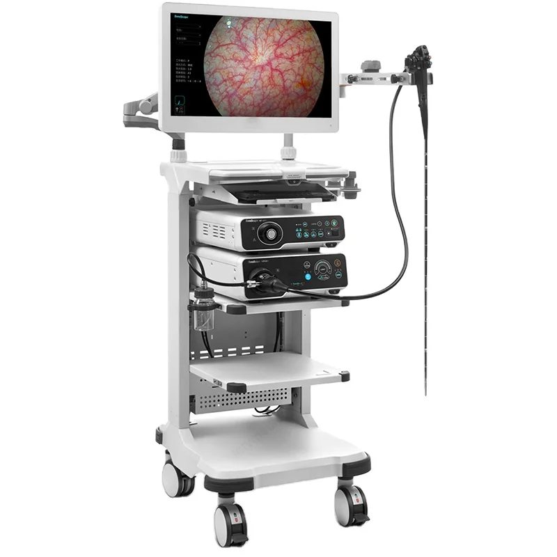 Store Home Products Sale Items Top Selling Feedback