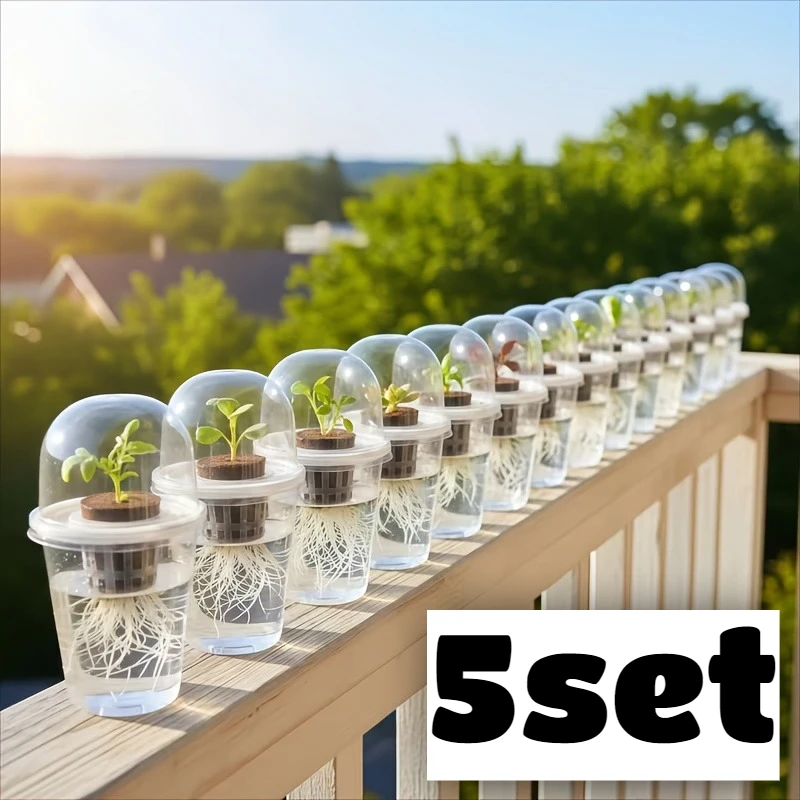 5set Germination Cup Visible Clear Plant Nursery Growing Box Indoor ...