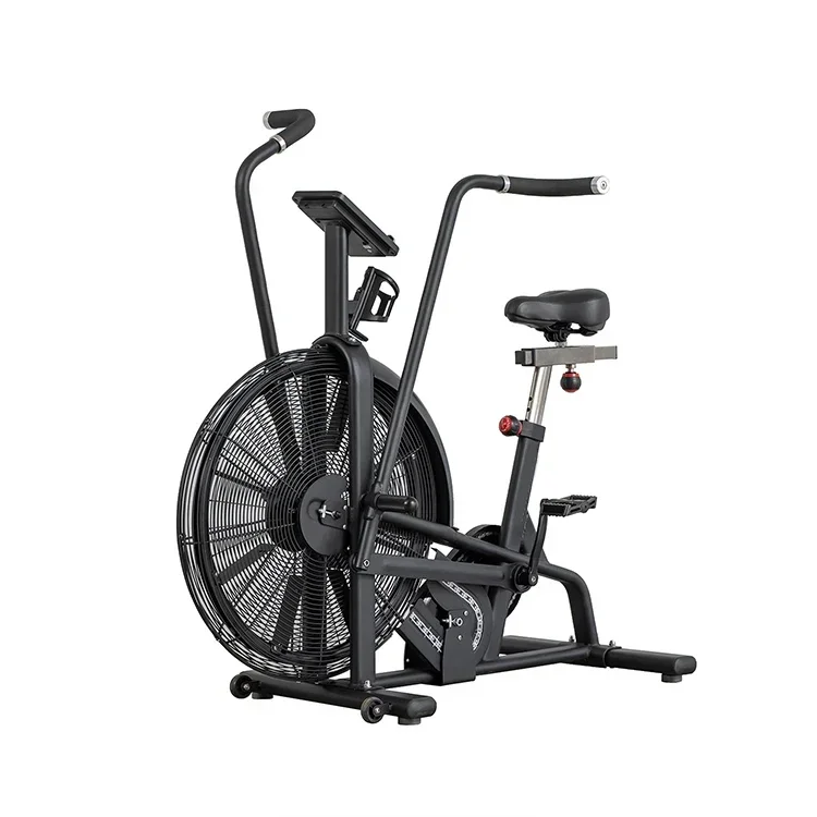 Home-Commercial-Air-Bike-Cardio-Machine-Asault-Fitness-Airbike-Cardio ...