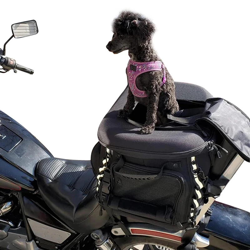 Portaequipajes para perros y gatos de motocicleta, bolsa de equipaje ...