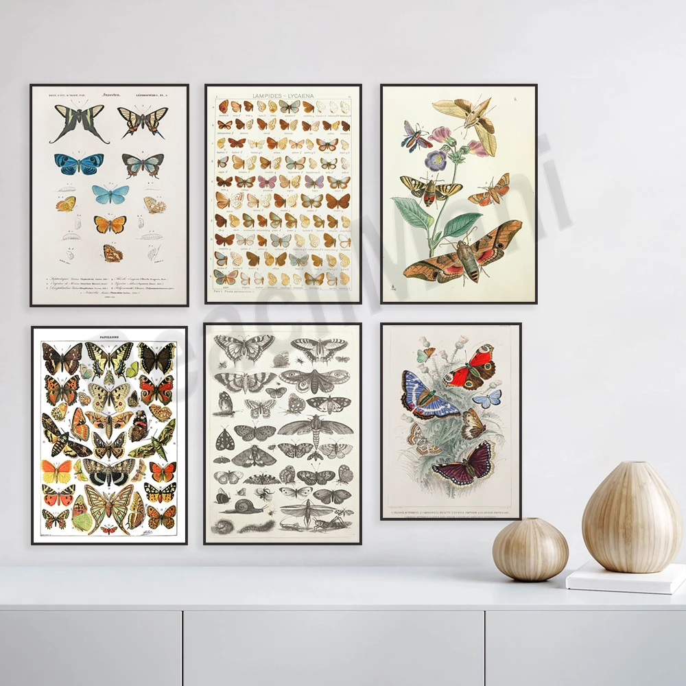 Yusuf-uk-t-rlerinin-g-velerin-t-rlerin-ve-kelebek-t-rlerinin-isimleri ...