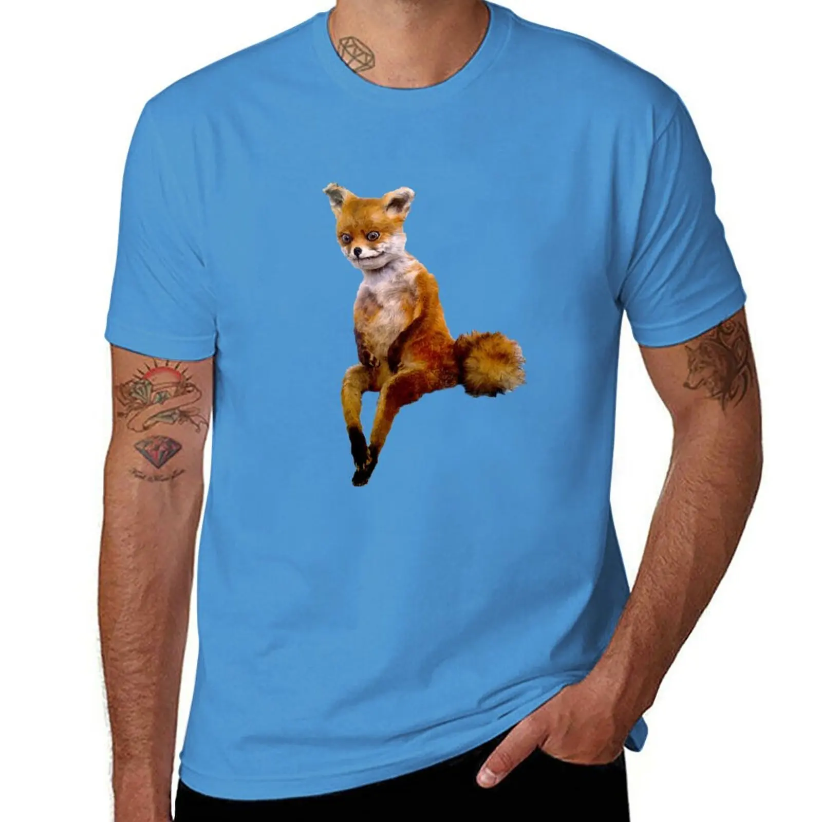 Stoned Fox Images