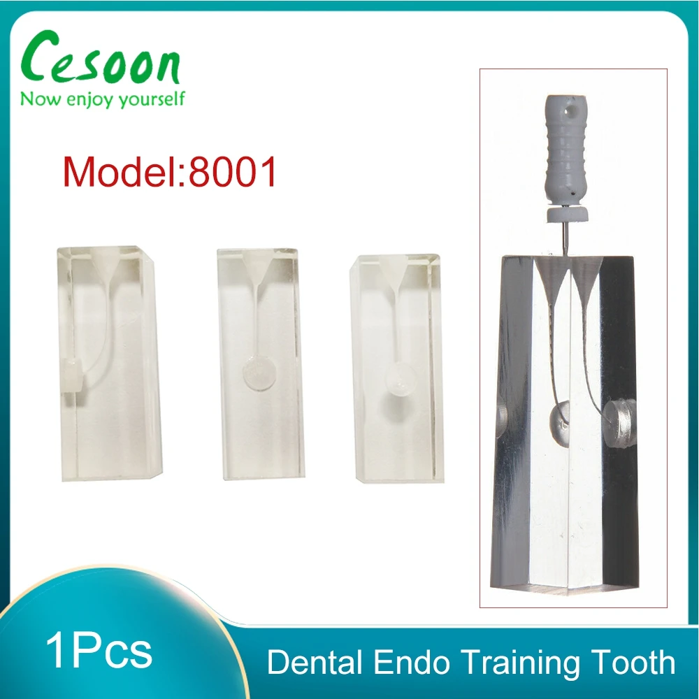 1Pcs-Dental-Endo-Root-Canal-Tooth-Model-8001-RCT-Training-Block-Pulp ...