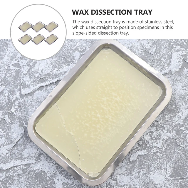 Dissecting Tray
