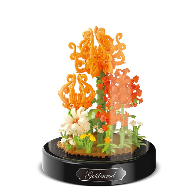 CONUSEA Official Store