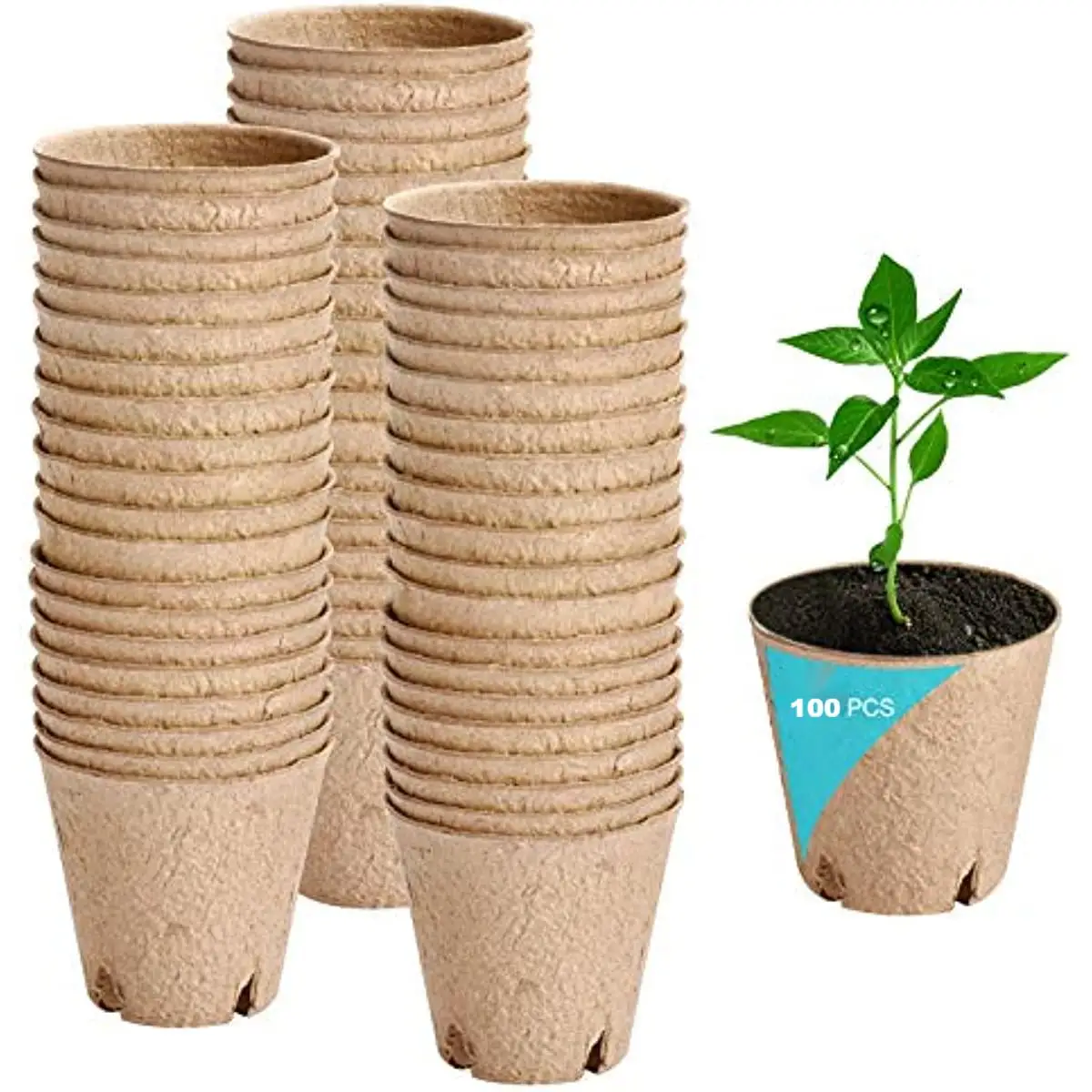 60-Paper-Pulp-Pot-Pack-Peat-Pots-Biodegradable-Seeds-Starter-Nursery ...
