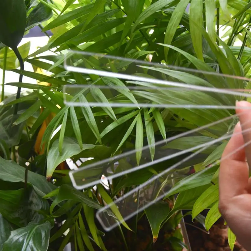 24pcs-Acrylic-Plant-Labels-Nursery-Markers-Flower-Pots-Seedling-Sign ...