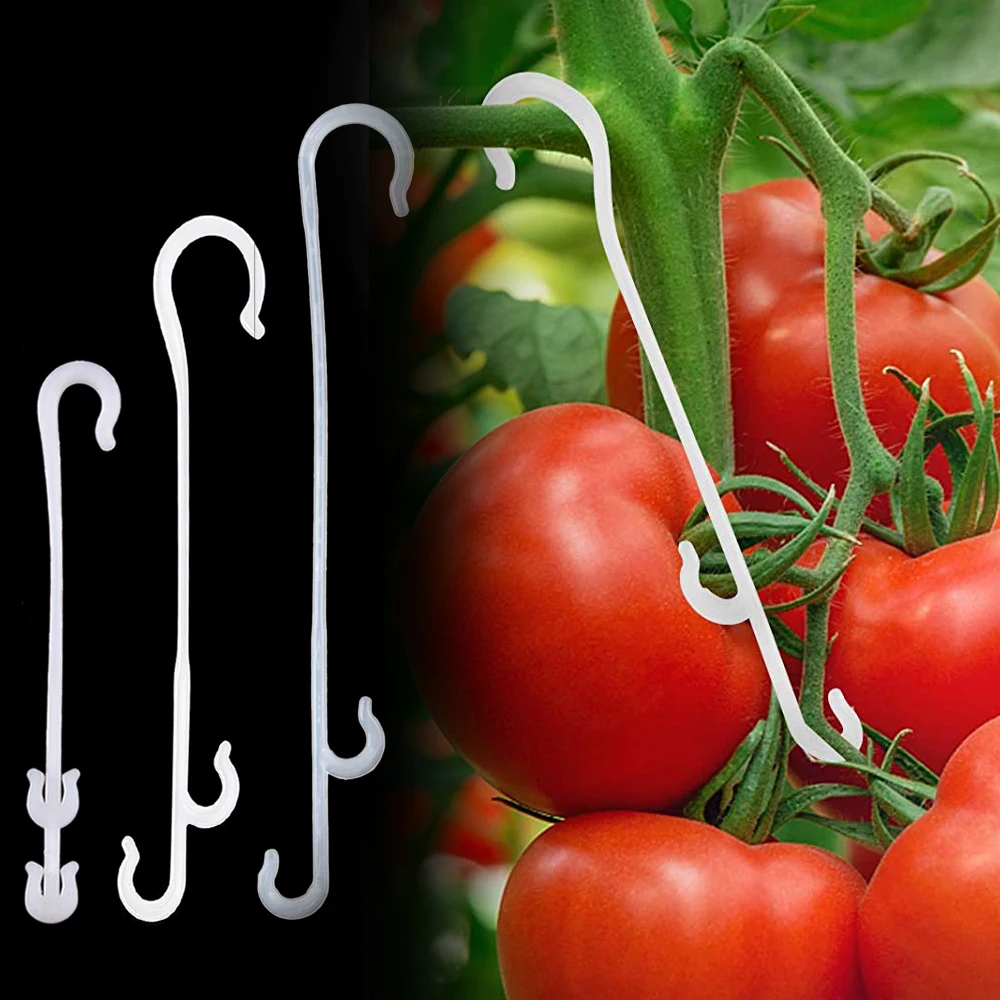 50-100pcs-Tomato-Support-Hooks-9-5-13-16cm-Plant-Support-Vegetable ...