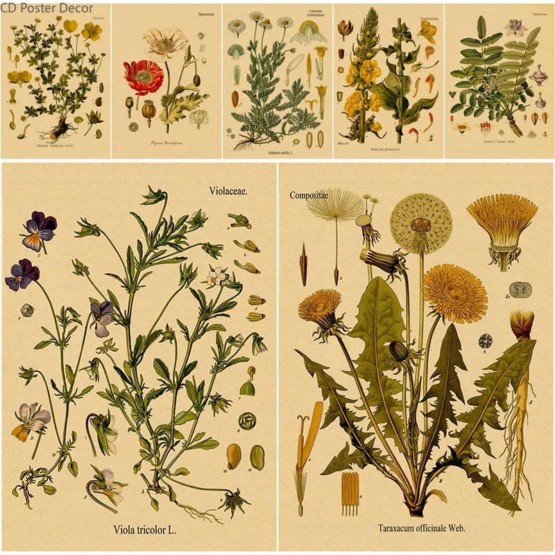 Page Not Found - Aliexpress.com