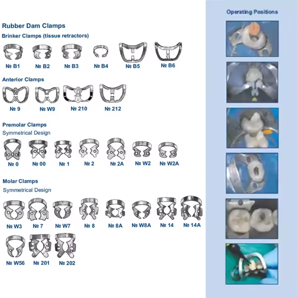 Dental Rubber Dam Clamps Set Multiple Sizes Stainless Steel Instruments ...