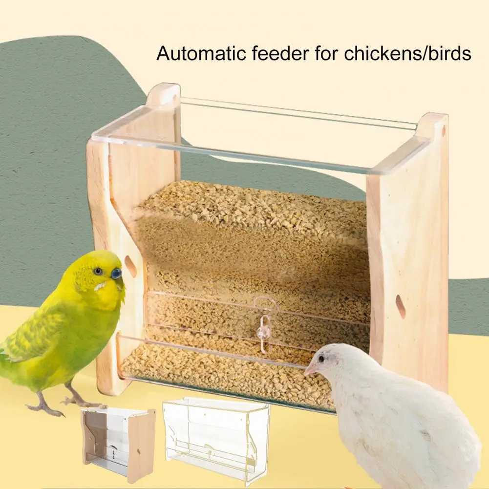 Bird-Feeders-Parrot-Food-Box-Adjustable-Splash-proof-Acrylic-Parrot ...