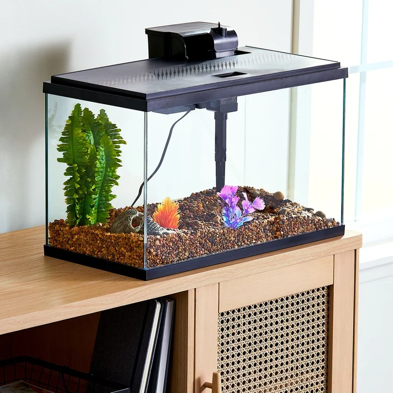 10 Gallon Aquarium Kit – The Critter Hut