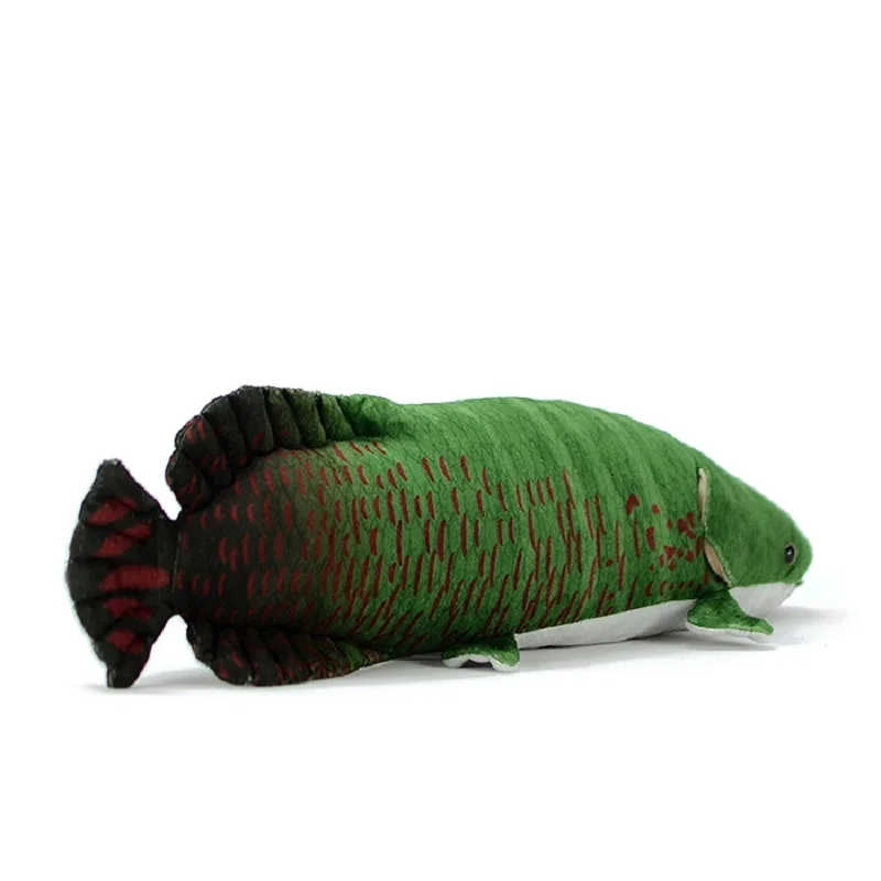 Arapaima Gigas Tattoo