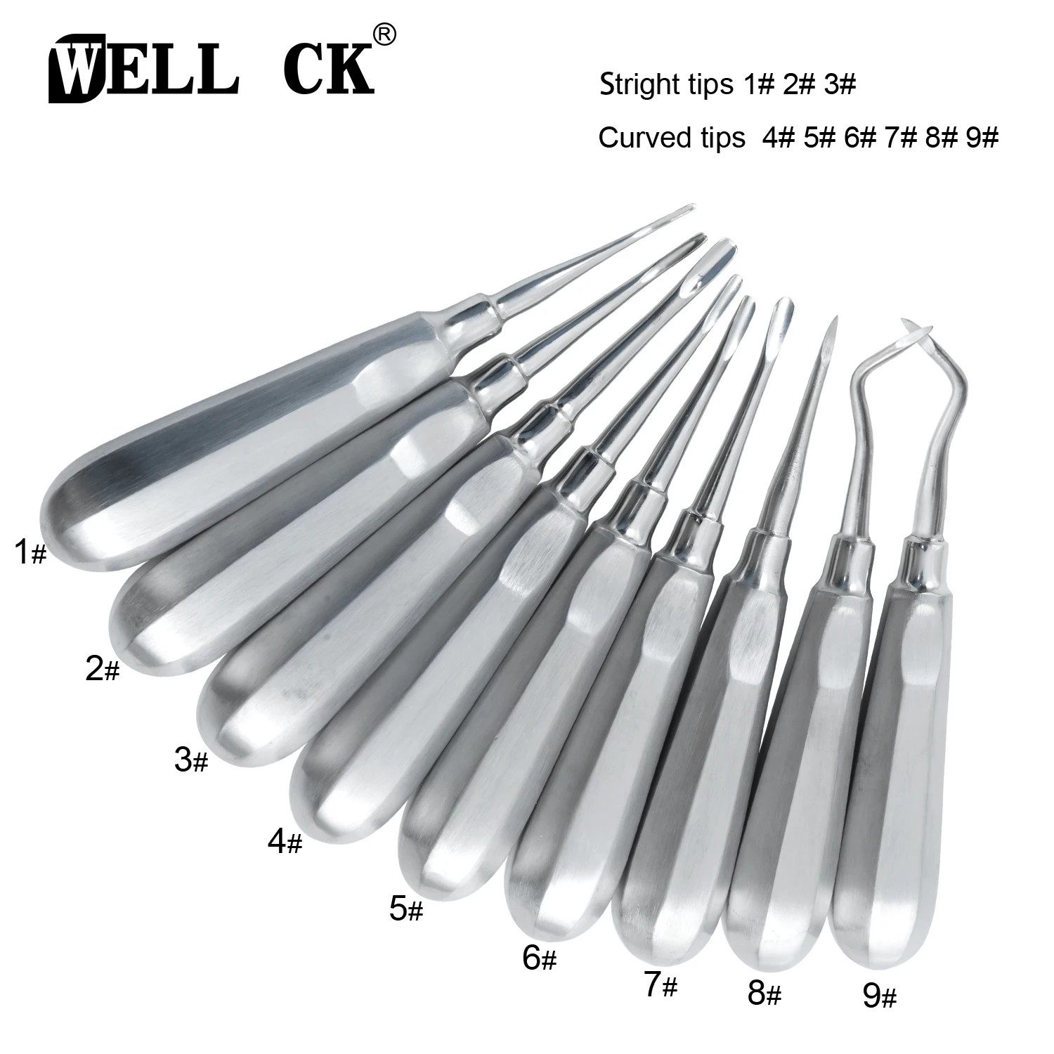 1PC-Dental-Extraction-Elevator-Stainless-Steel-Tooth-Dentist-Tool ...