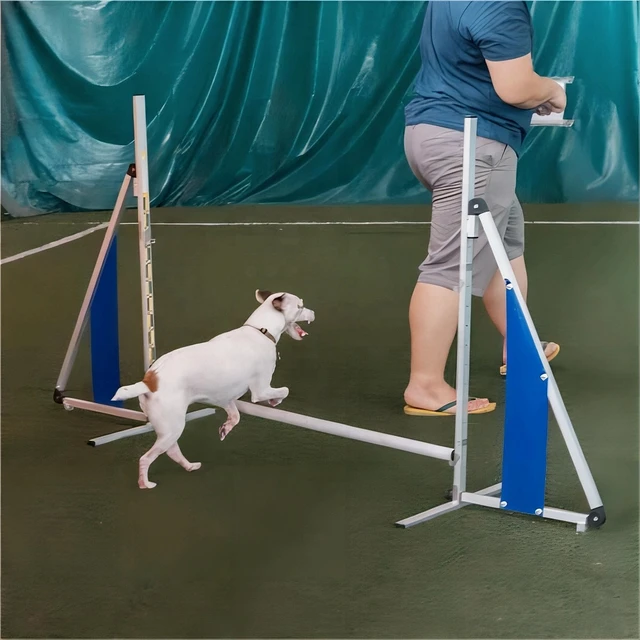 Dog Agility Jump