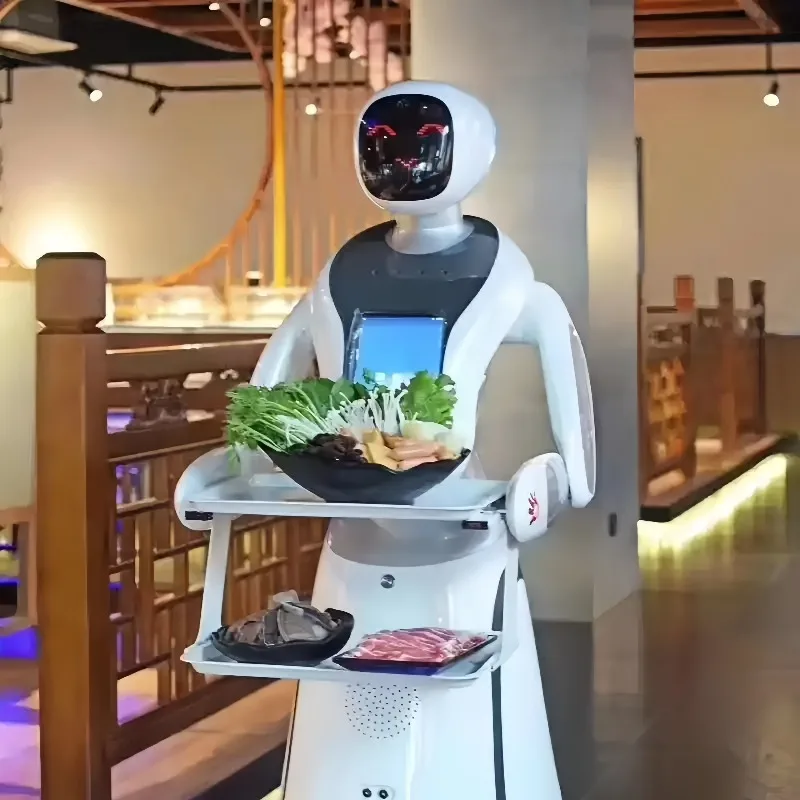 Best-selling Humanoids Smart Intelligent Human Size s For Sale ...