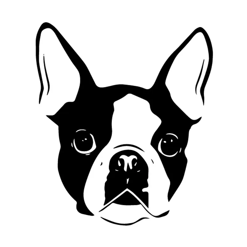 Boston Terrier Cartoon Face