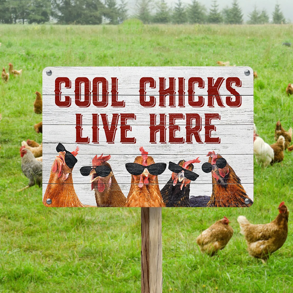 1pc-Vintage-Metal-Tin-Cool-Chicks-Live-Here-Information-Signs-Funny-Tin ...