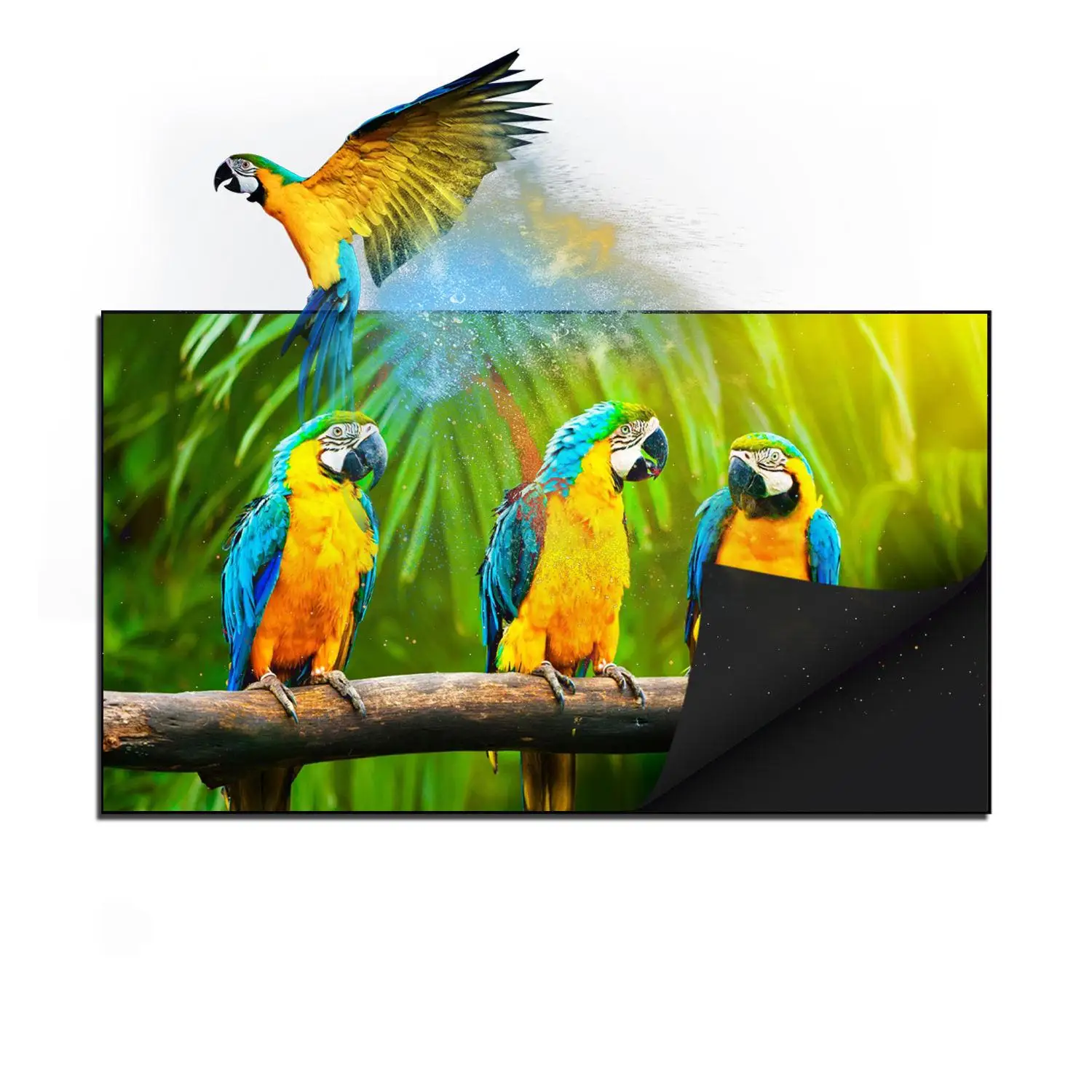 130-inch-Seamless-Premium-CBSP-PET-ALR-Projection-Screen-Enhanced-Gain ...