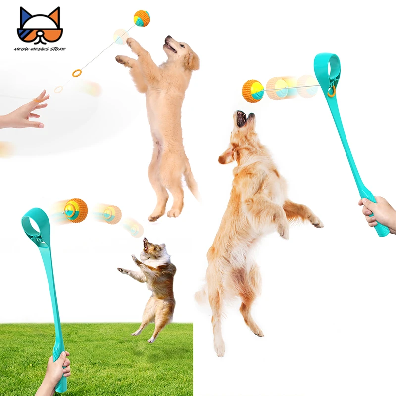 Dog-Training-Toys-Launcher-Ring-Retractable-Rope-Stretchable-Molar ...