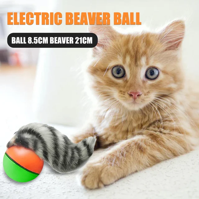 1-5Pcs Electric Beaver Ball Traning Dogs Agility Toys Electric Beaver ...