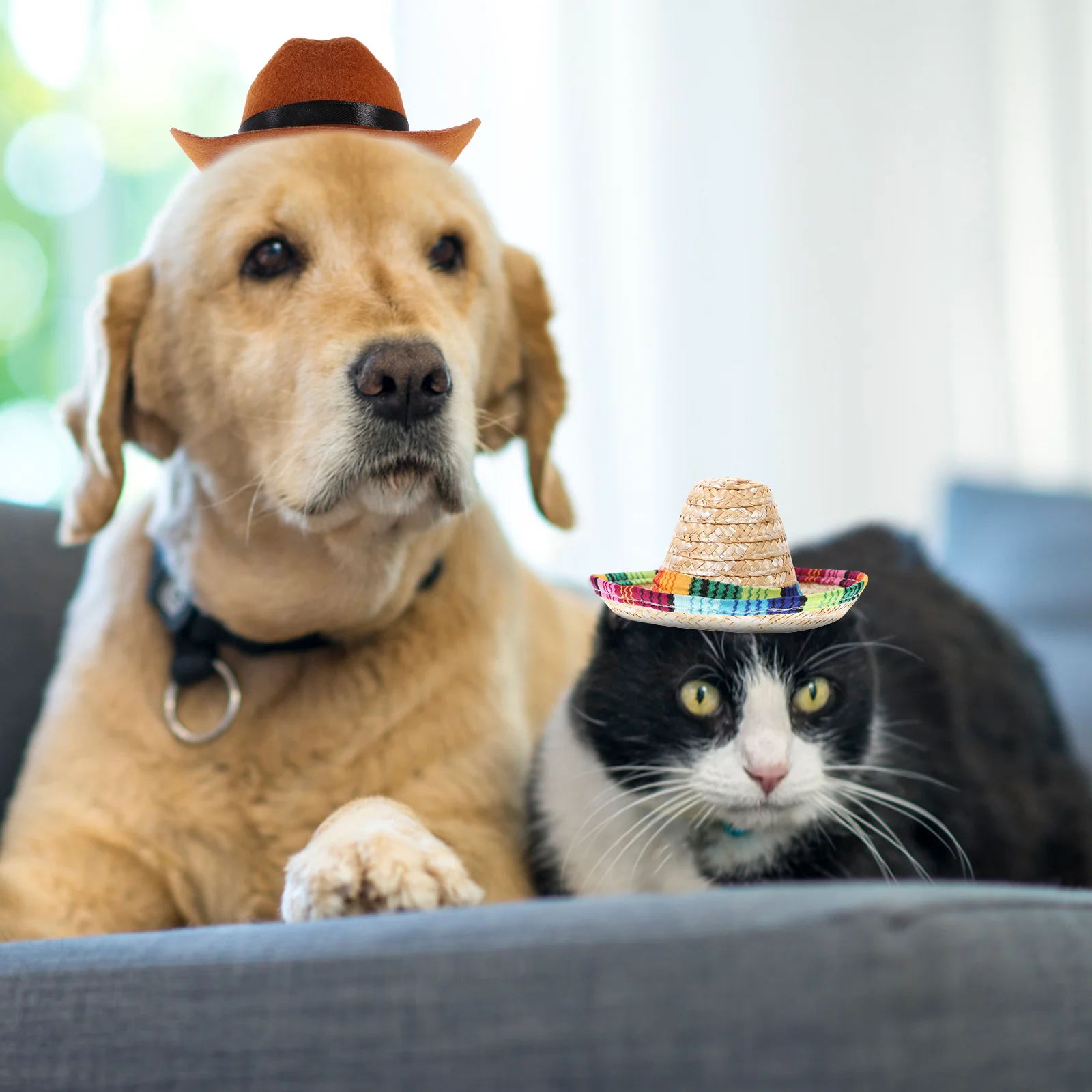 Cowboy Hats For Dogs