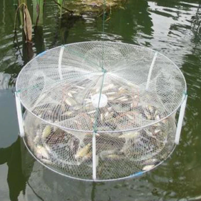 Shrimp Net Catch